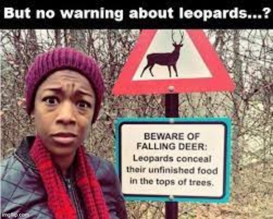 Imagine seeing deer fall with your own eyes... XD - Imgflip