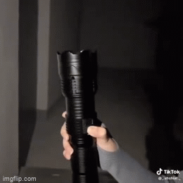 Bro finna make Foxy stay out of order ? - Imgflip