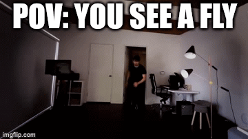 Anybody else think that fly's are just there to piss us off? - Imgflip