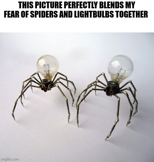 Spider lightbulbs - Imgflip