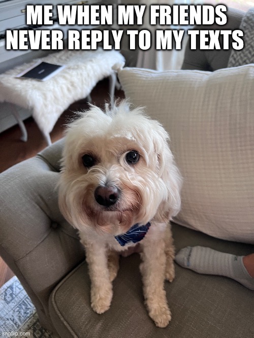 Image tagged in funny - Imgflip