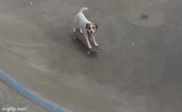 Skateboarding - Imgflip