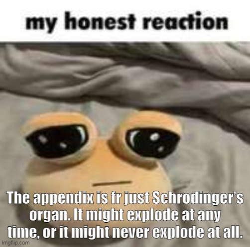 my honest reaction - Imgflip