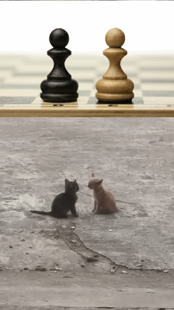 pawn vs pawn - Imgflip