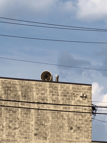 This isn’t supposed to be funny, but here are Some Live siren Photos I ...