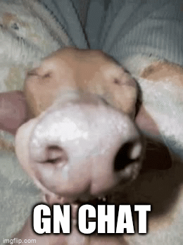 just came back to say gn, I’ll probably be back tomorrow afternoon ...