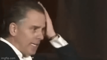 HUNTER BIDEN MANIC - Imgflip