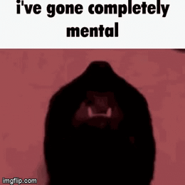 i've gone completely mental - Imgflip