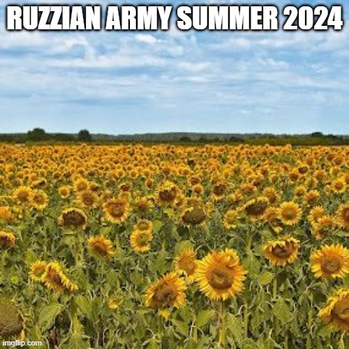 Machenbach sunflower fields - Imgflip