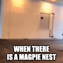 It's almost spring - Imgflip