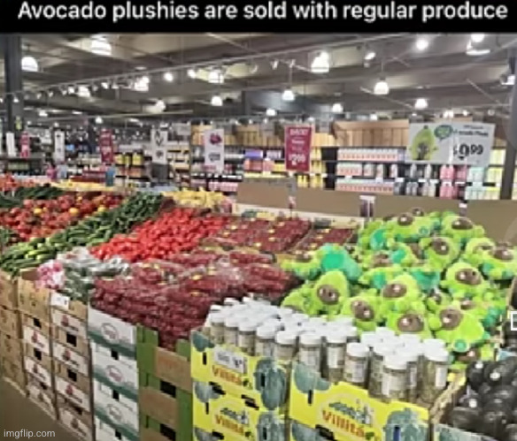 can you eat them...? - Imgflip