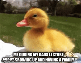 dads lecture - Imgflip