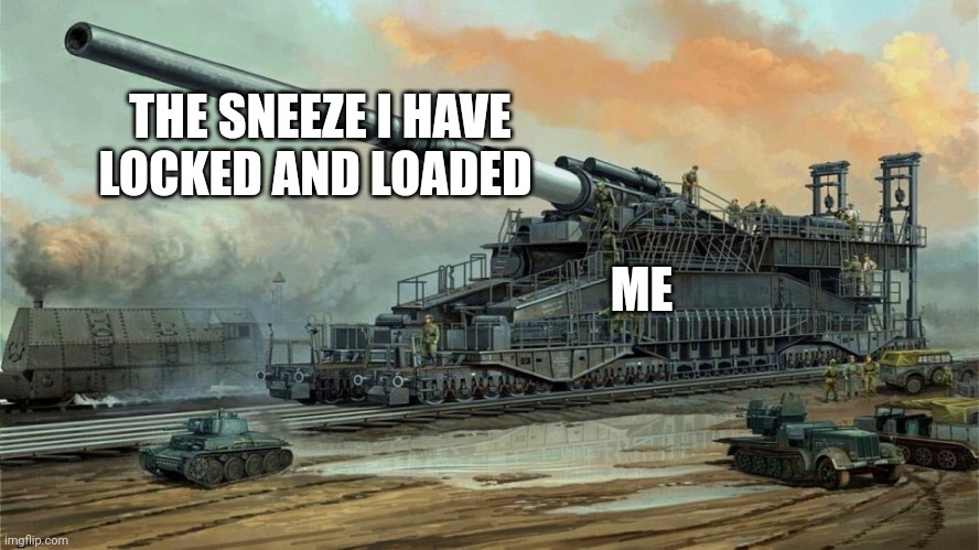 I have a sneeze locked and loaded - Imgflip