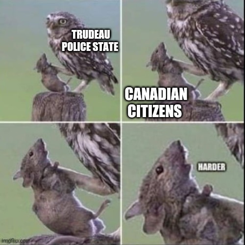 Trudeau Must Go! > General Discussion > AR15.COM