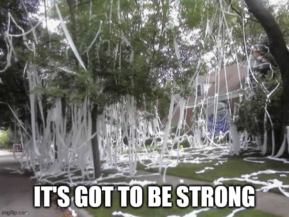 Which toilet paper you pickin - Imgflip