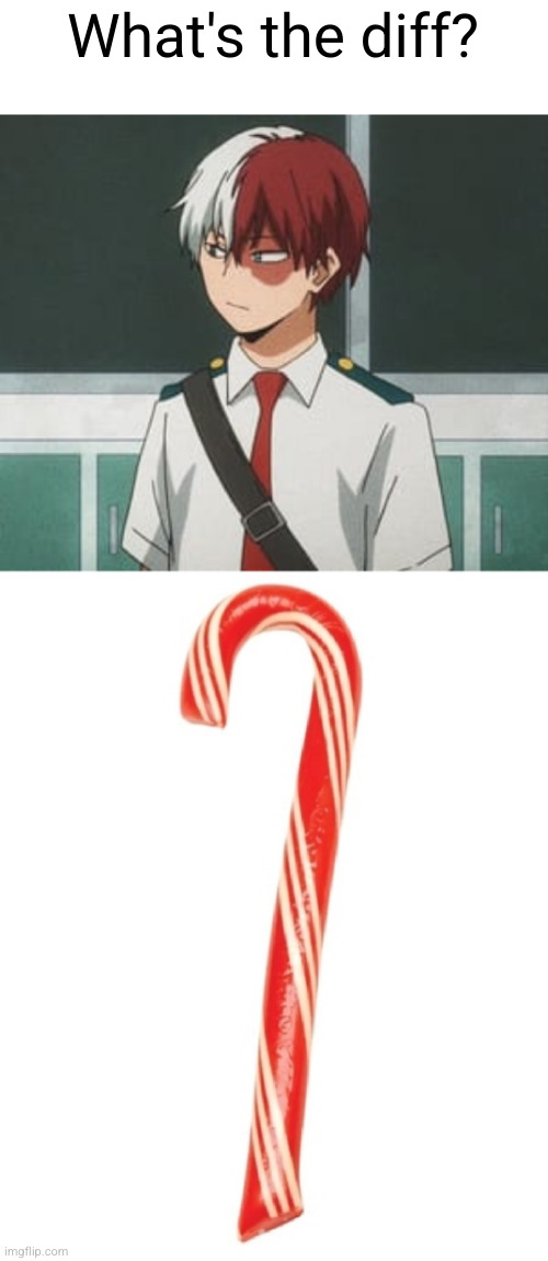 Shoto vs Candy cane - what's the diff? - Imgflip