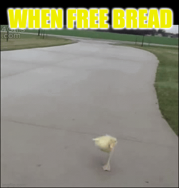 Give free bread - Imgflip