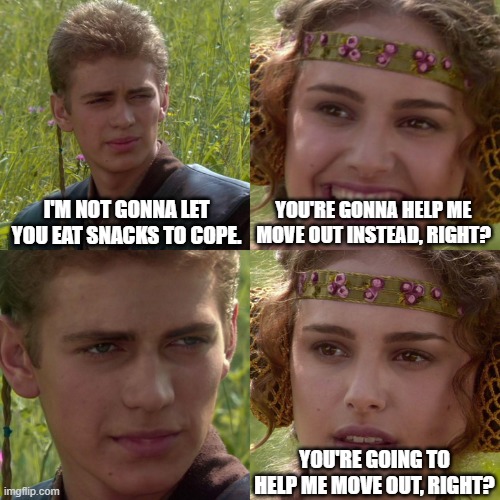 Anakin Padme 4 Panel - Imgflip