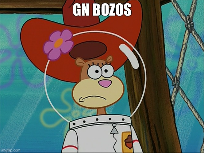 Sandy Cheeks - Imgflip