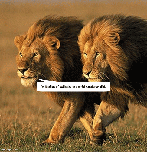 Vegetarian Lion - Imgflip