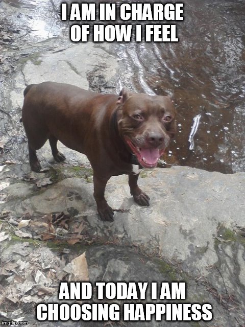 Image tagged in today i am happy - Imgflip