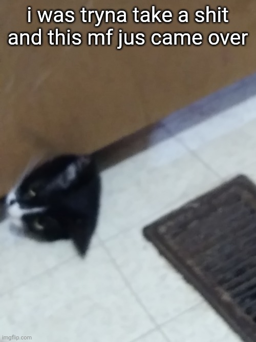 i might be here for a few days or smt i wanna see if my friend answers me - Imgflip