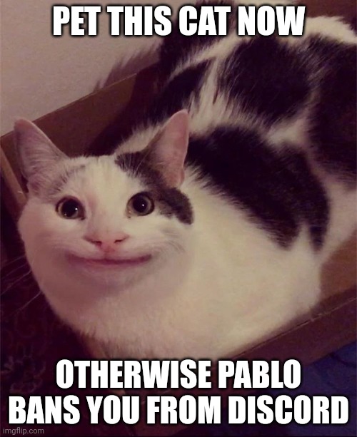 Polite Loaf - Imgflip