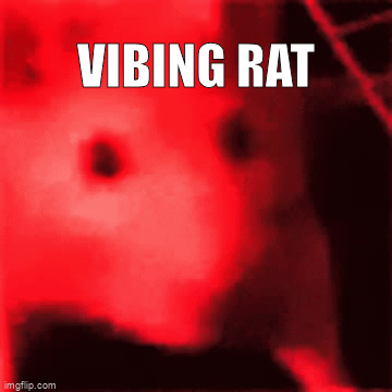 Rat - Imgflip