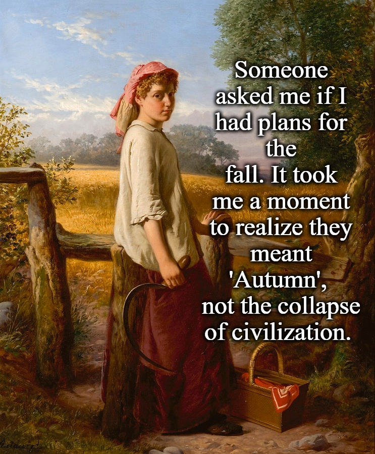 Someone asked me if I had plans for the fall. - Imgflip