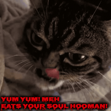 Yummy Soul - Imgflip