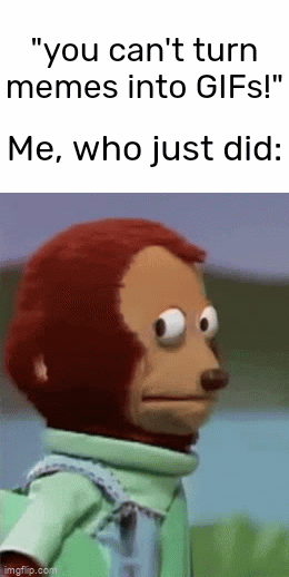 Animated GIF - Imgflip