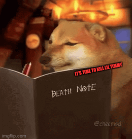 Lil timmy stole cheems love. - Imgflip