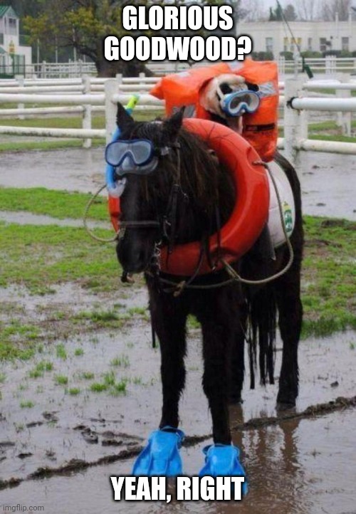 Wet horse - Imgflip