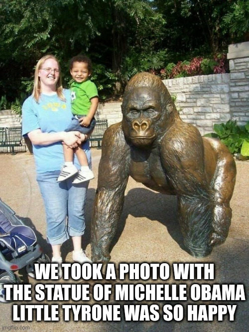 Tyrone loves the DC zoo - Imgflip