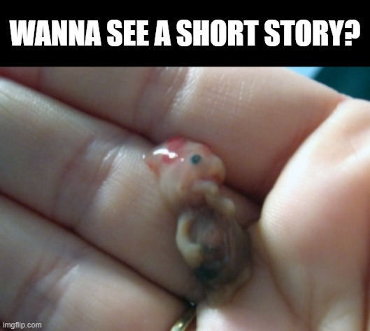 Short Story - Imgflip