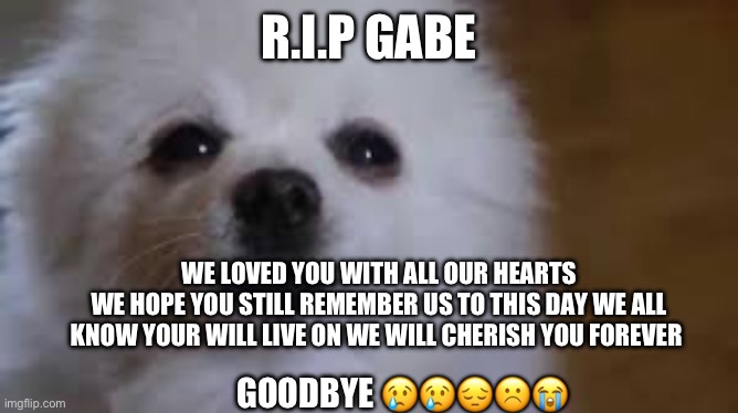 My memorial for Gabe the dog - Imgflip