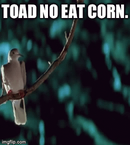 Toad eat bird - Imgflip