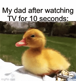 Why do dads always fall asleep - Imgflip