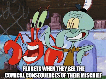 If comical consequences be something you wish - Imgflip