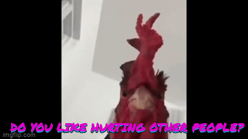 Chicken explaining - Imgflip
