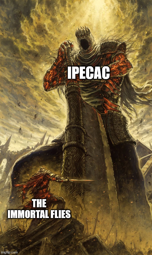 Yhorm Dark Souls - Imgflip