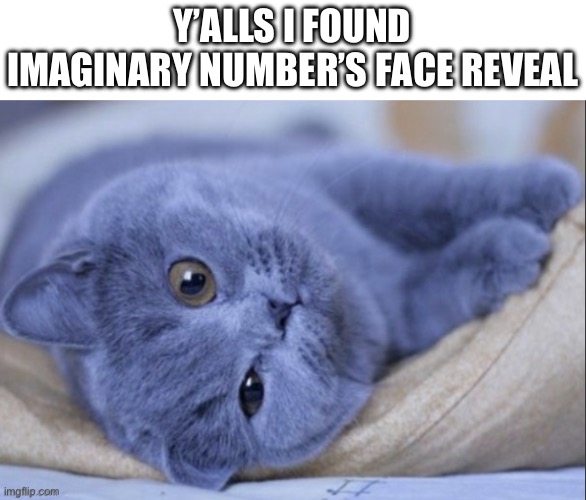 Repost This To Let Everyone Know This Is Square Root Of Negative One s 