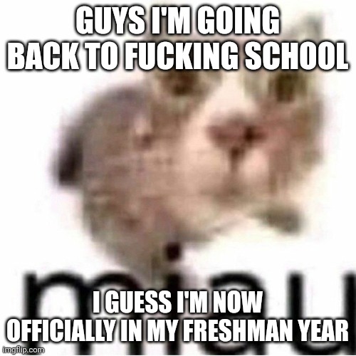 Idfk what to expect - Imgflip