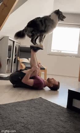 Balancing in exercise - Imgflip