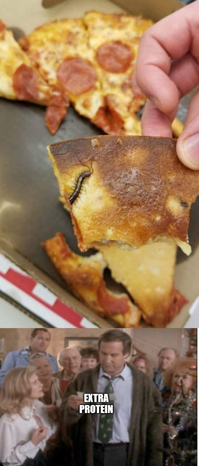 Image tagged in christmas vacation,you had one job - Imgflip