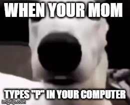 shivering dog - Imgflip