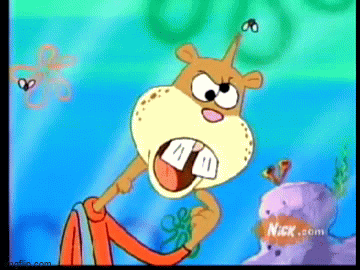 Image tagged in sandy - Imgflip