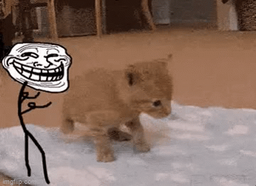 pushing a cat - Imgflip