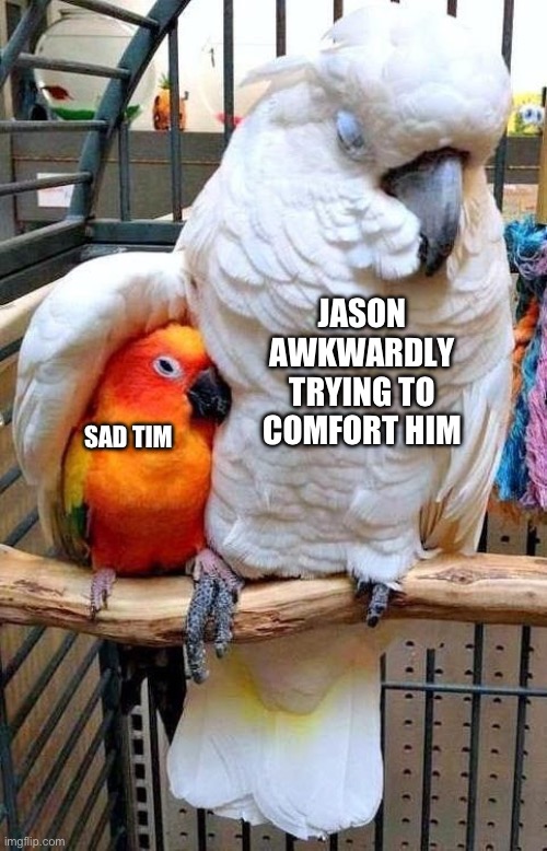 Big Bird Comforting Small Bird - Imgflip