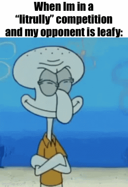 When Im in a no chin competition and my opponent is leafy: - Imgflip